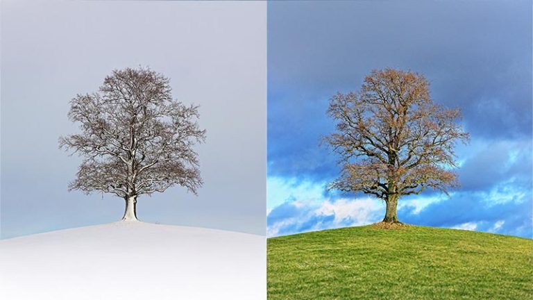 Biżuteria z kamieniami naturalnymi w różnych porach roku: jak dobierać ...